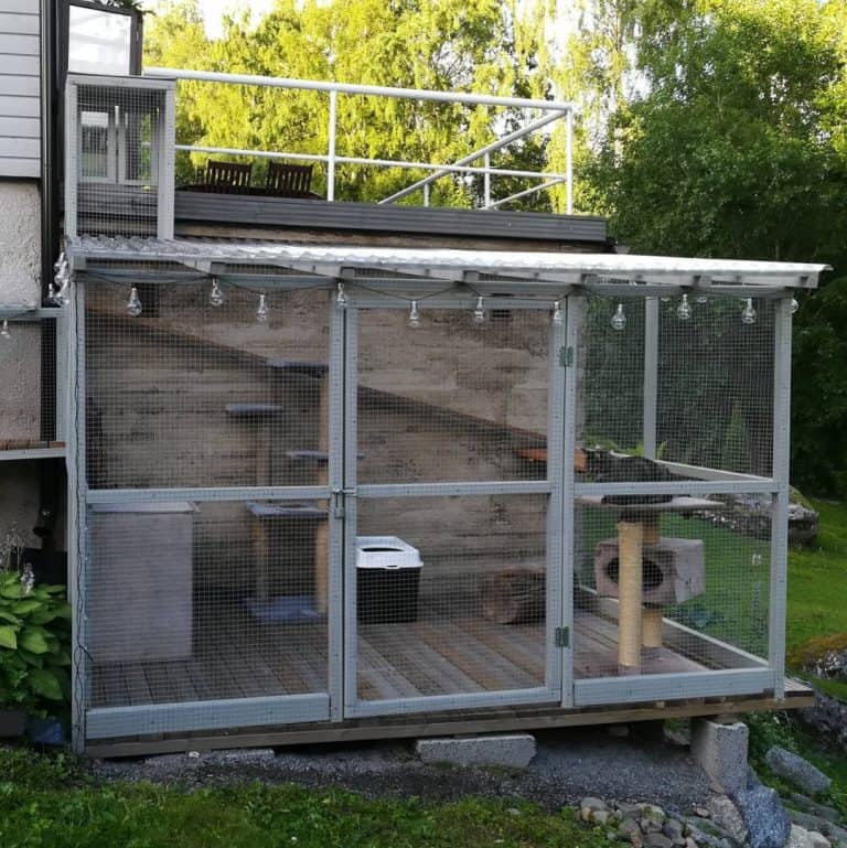 13 Catio Design Ideas for Your Purry Friend