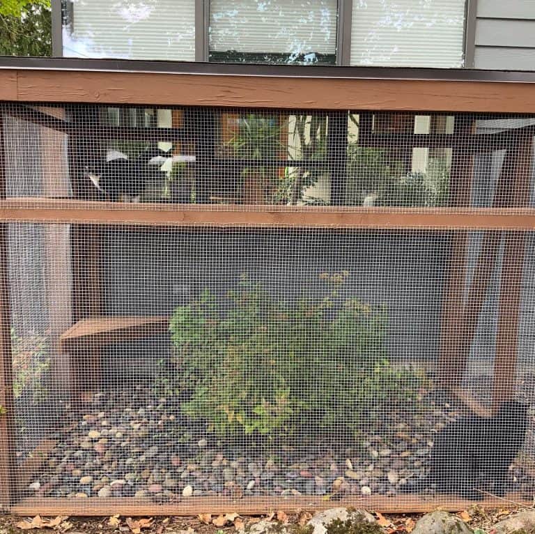 13 Catio Design Ideas for Your Purry Friend