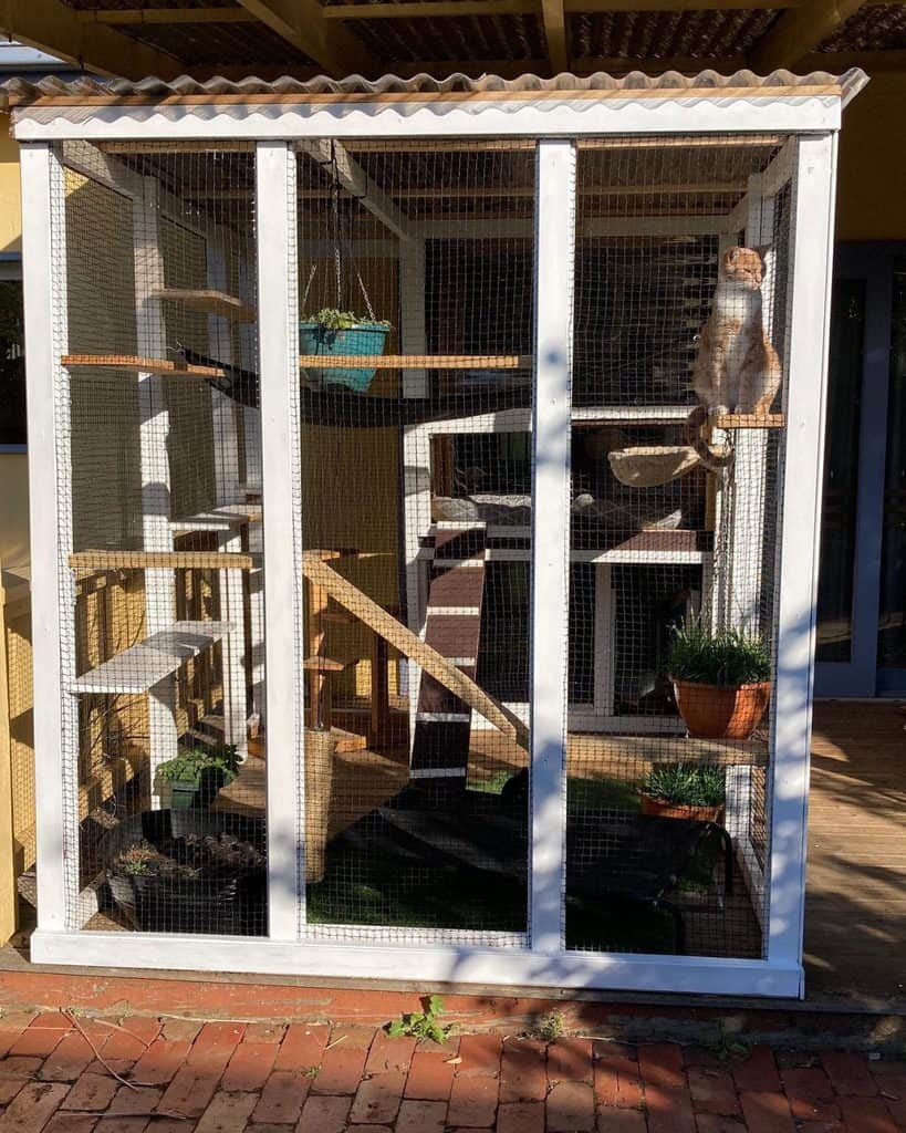 13 Catio Design Ideas for Your Purry Friend