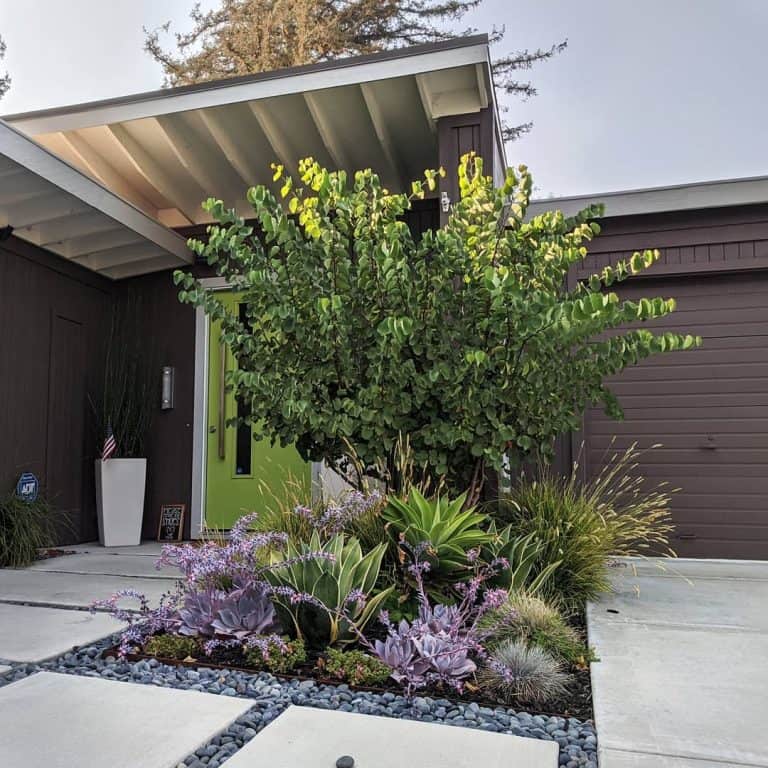 The Top 62 Xeriscape Ideas - Trendey