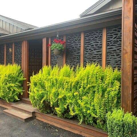 43 DIY Outdoor Privacy Screen Ideas with Pictures