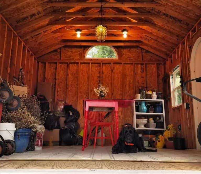 50 Shed Storage Ideas for Better Organization - Trendey