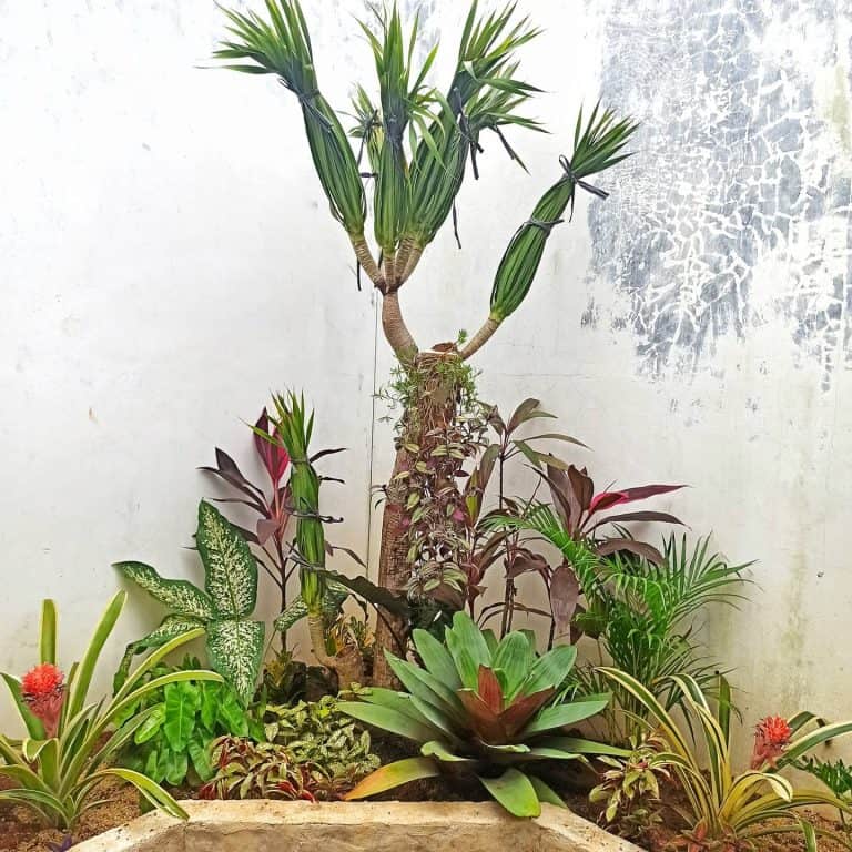 18 Tropical Garden Design Ideas - Trendey