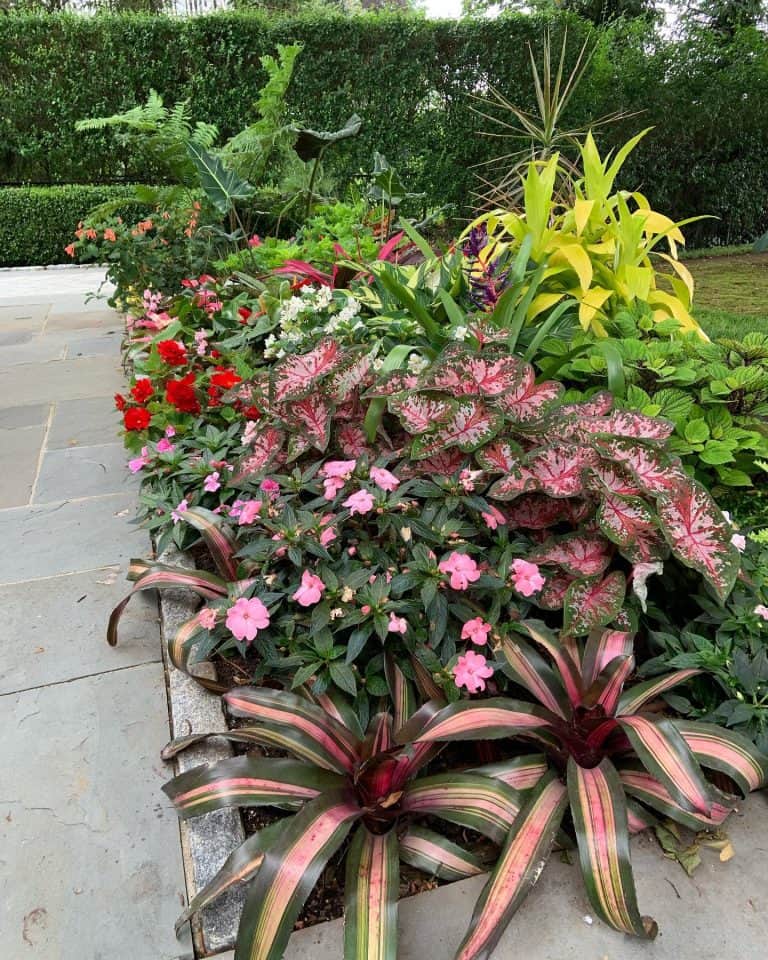 18 Tropical Garden Design Ideas