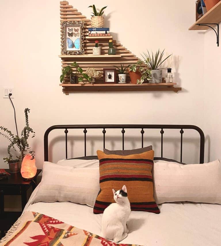 16 Creative Wall Shelf Ideas and Designs