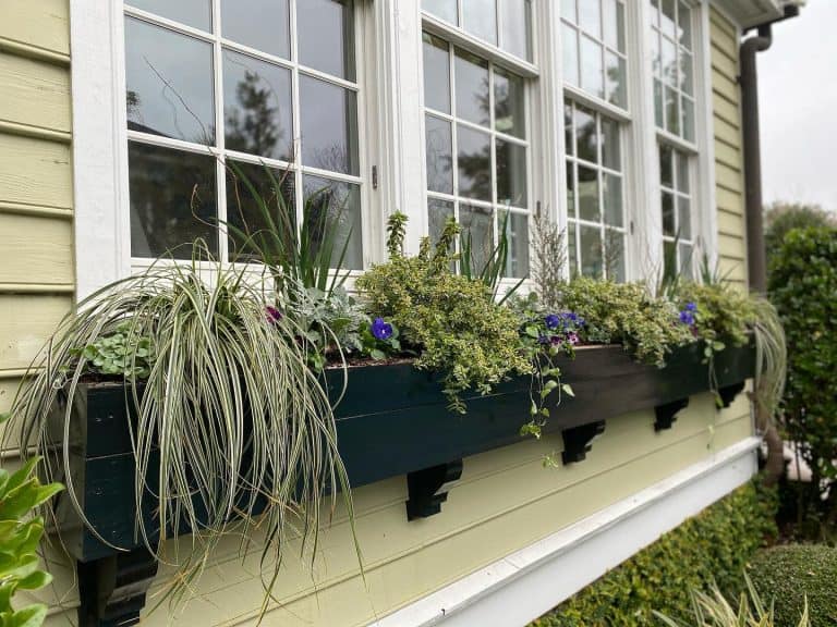 19 Window Box Ideas to Brighten Up Your Exterior - Trendey