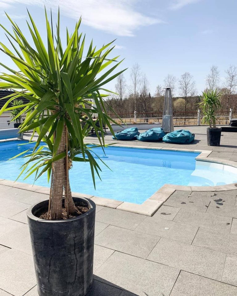 13 Swimming Pool Coping Ideas (Different Materials and Styles)