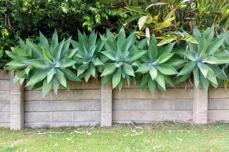 12 Inexpensive Retaining Wall Ideas for Your Backyard