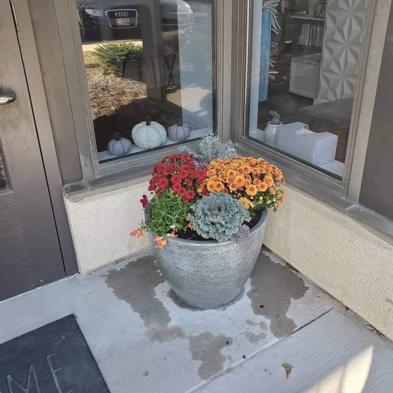 19 Creative Planter Ideas for Container Gardens - Indoor & Outdoor