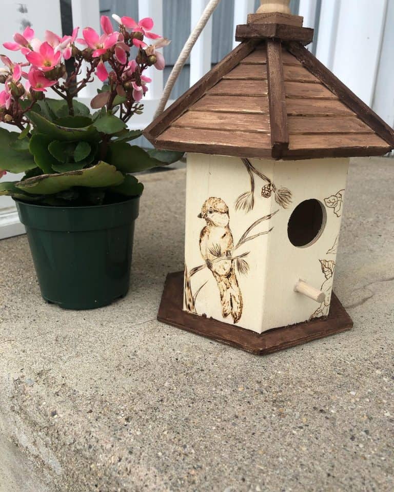 20 DIY Birdhouse Ideas for Your Yard - Trendey