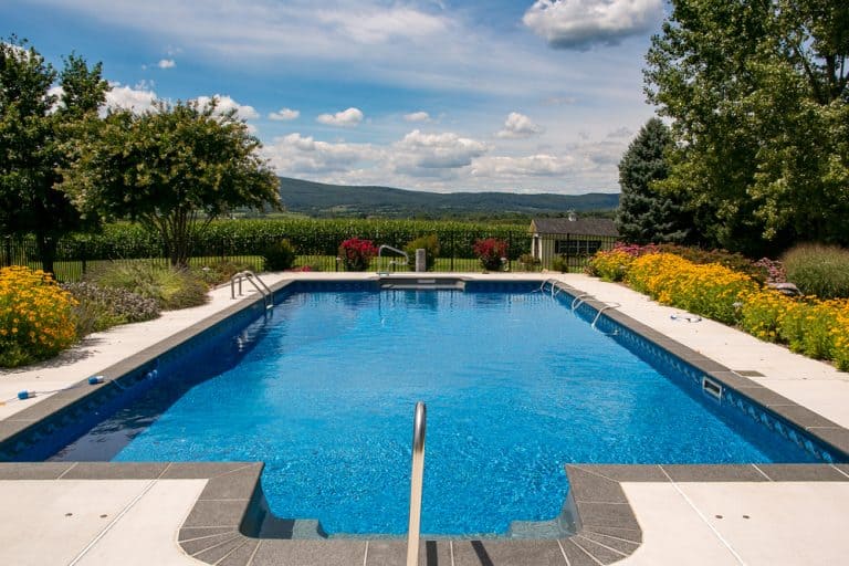 13 Swimming Pool Coping Ideas (Different Materials and Styles)