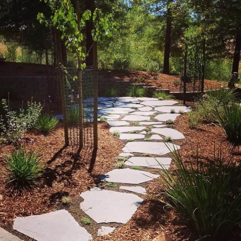 9 Stone Patio Ideas for Your Backyard (With Gallery)
