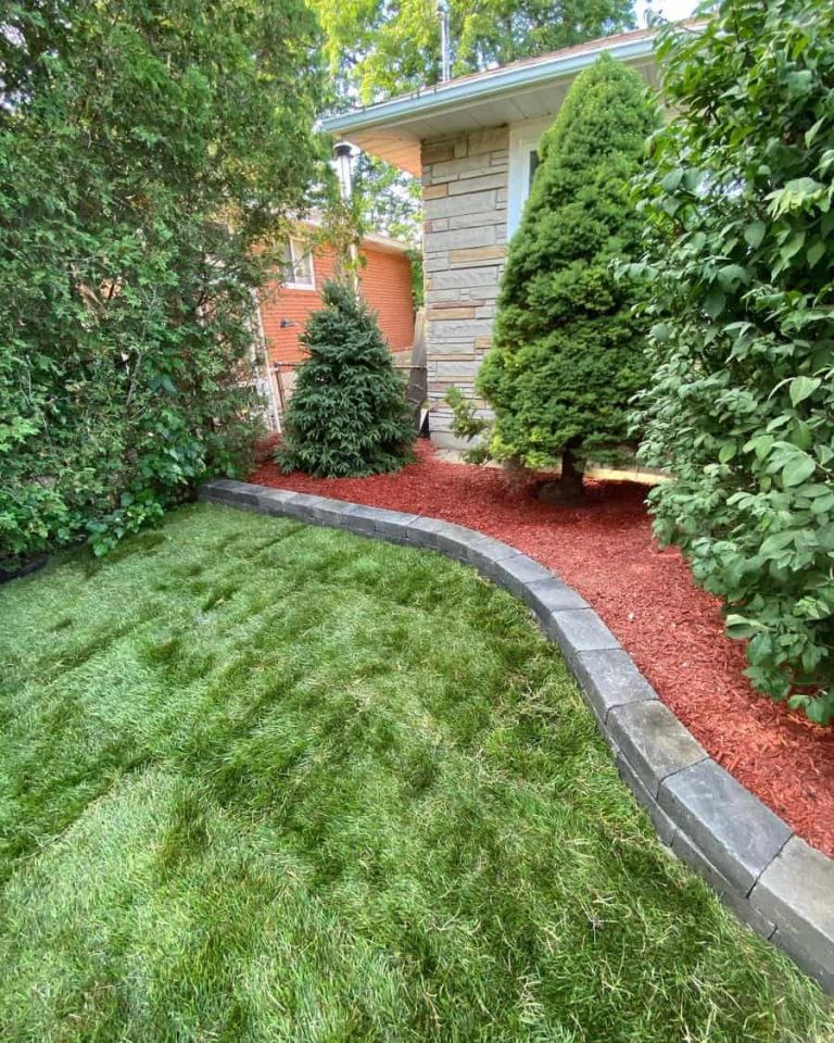 28 Landscaping Ideas for Your Outdoor Space - Trendey