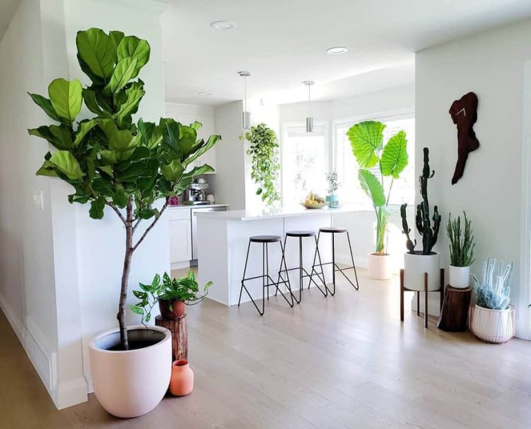 19 Creative Planter Ideas for Container Gardens - Indoor & Outdoor