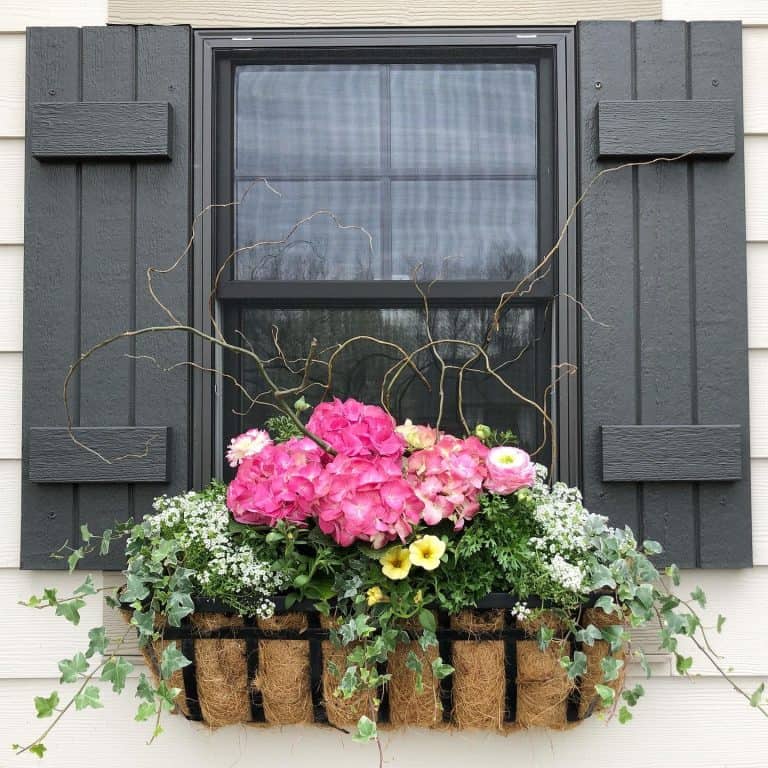 19 Window Box Ideas to Brighten Up Your Exterior - Trendey
