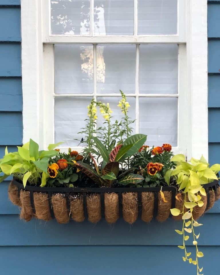 19 Window Box Ideas to Brighten Up Your Exterior - Trendey