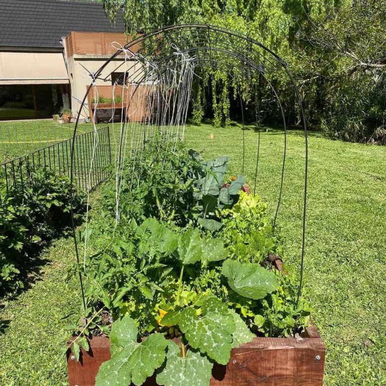 The Top 67 Backyard Arbor Ideas - Trendey