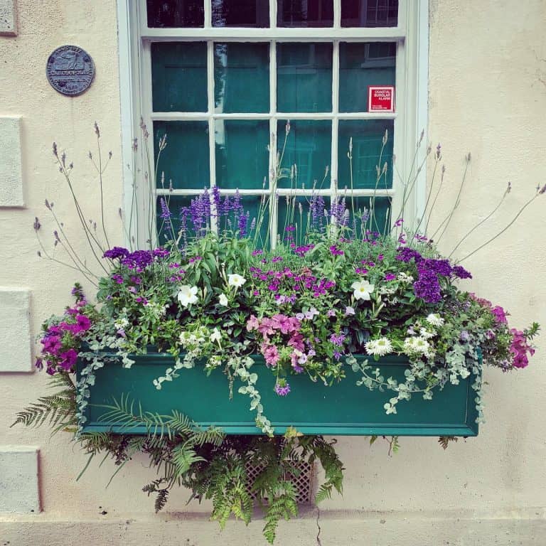 19 Window Box Ideas to Brighten Up Your Exterior - Trendey