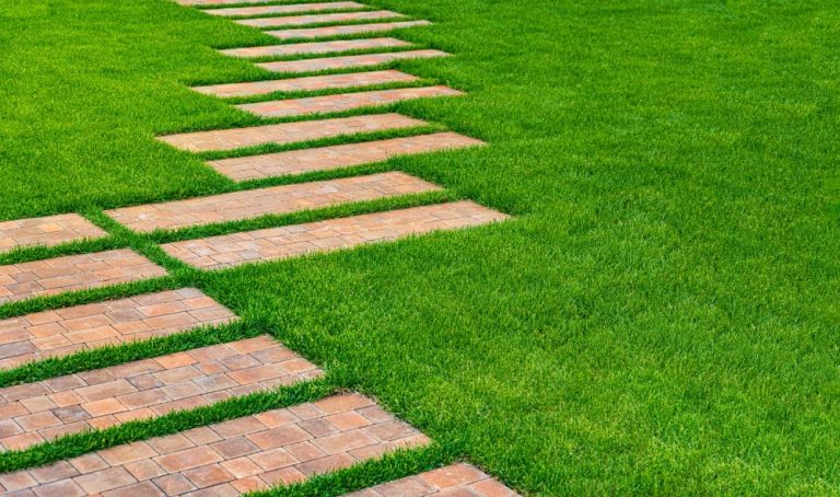 28 Garden Pathway Ideas for Your Outdoor Space