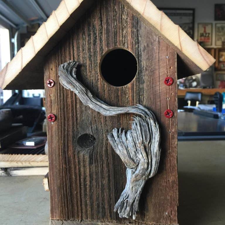 20 DIY Birdhouse Ideas for Your Yard - Trendey