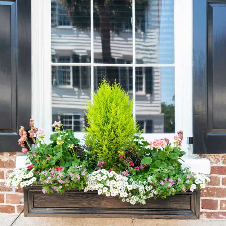 19 Window Box Ideas to Brighten Up Your Exterior - Trendey