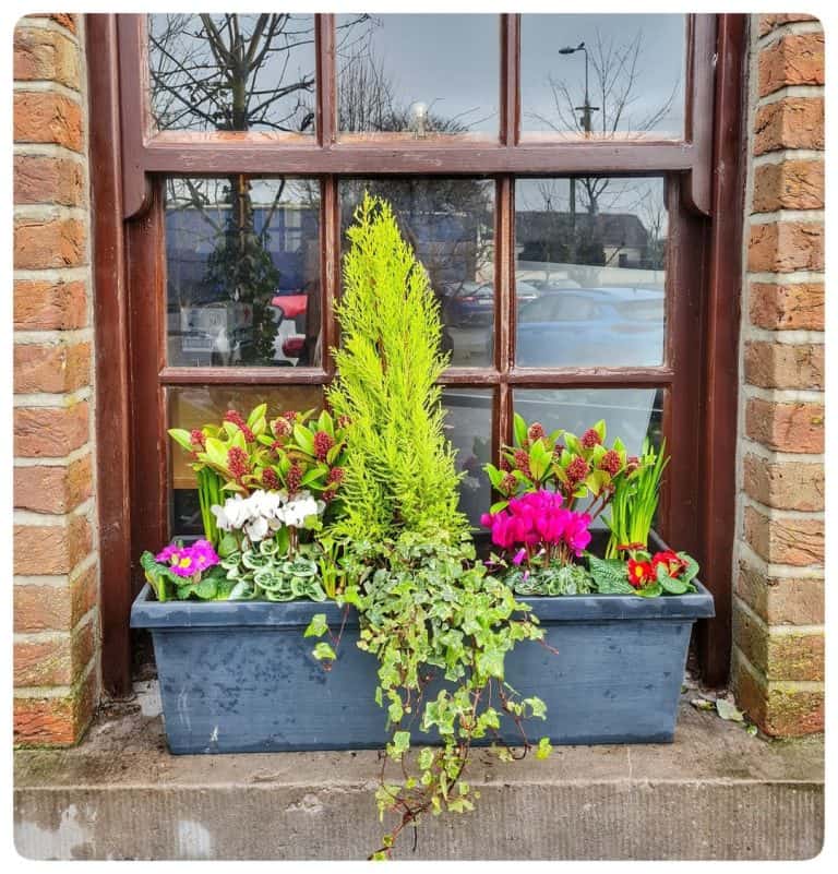 19 Window Box Ideas to Brighten Up Your Exterior - Trendey