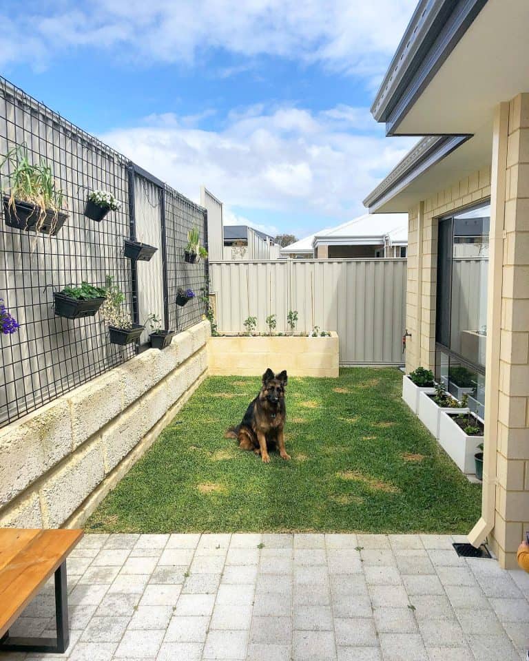 The Top 39 No Grass Backyard Ideas - Trendey