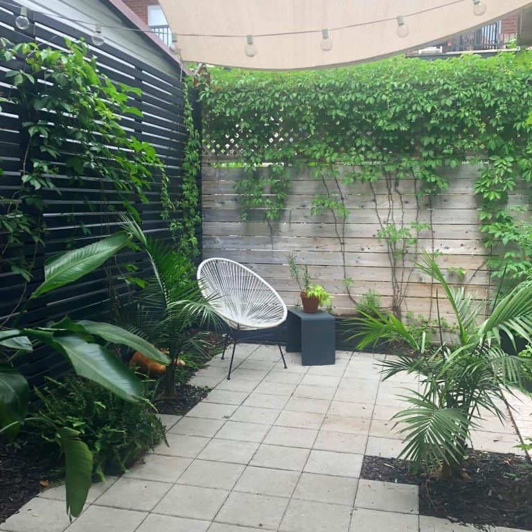 12 No Grass Backyard Ideas for Easy Maintenance