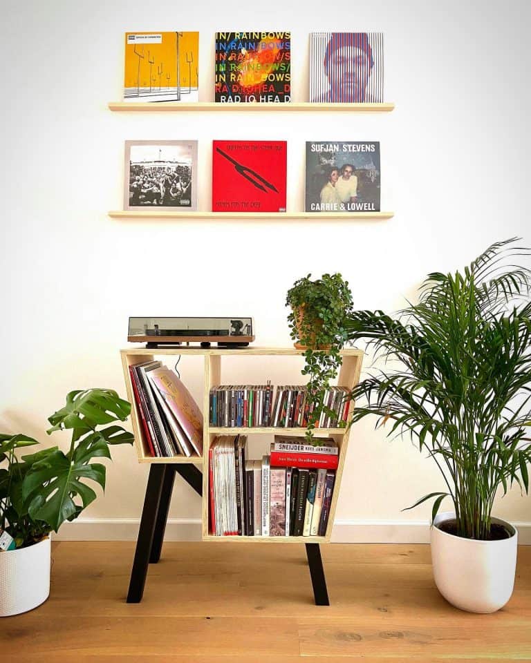 11 Creative Record Storage Ideas to Keep Your Records Safe
