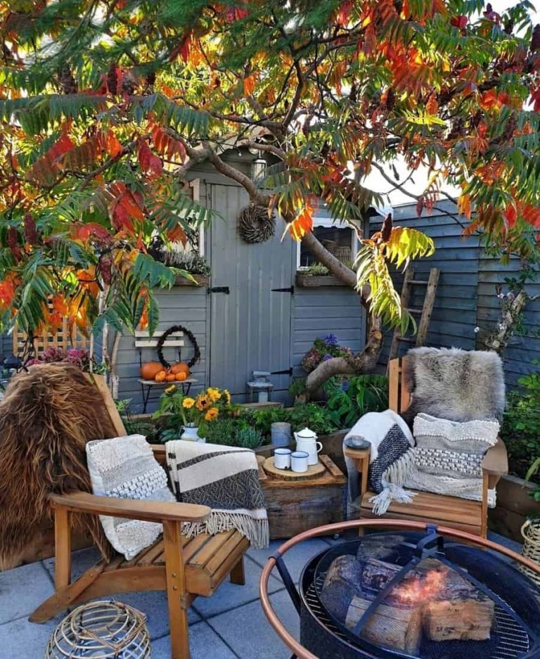 24 Outdoor Shade Ideas for Your Patio and Backyard - Trendey