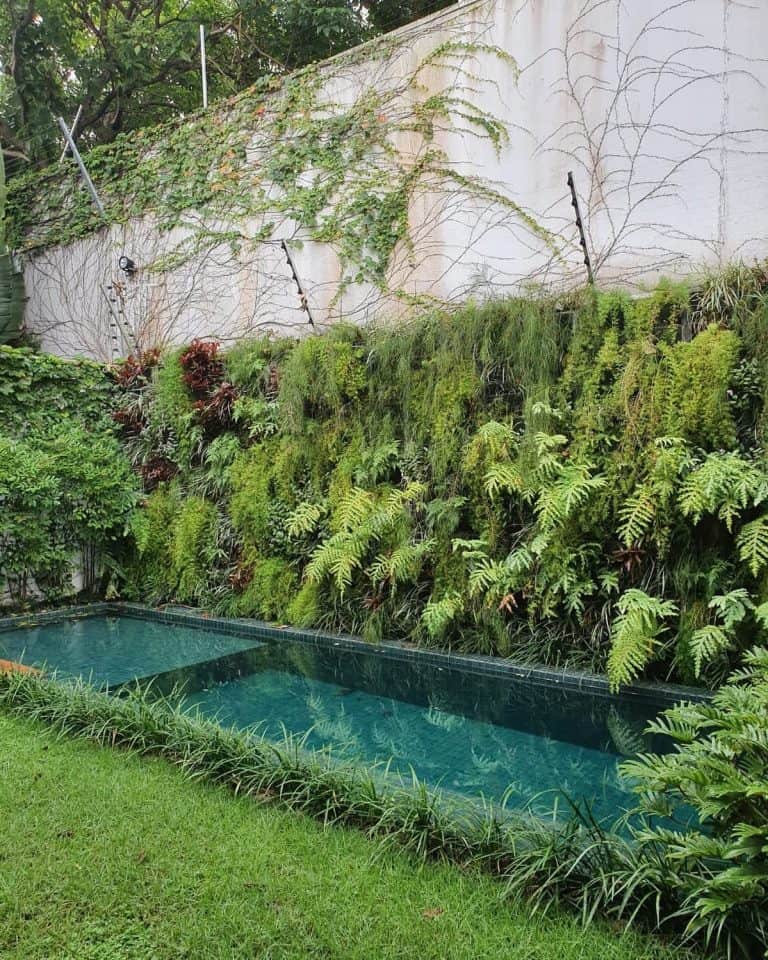 18 Tropical Garden Design Ideas - Trendey