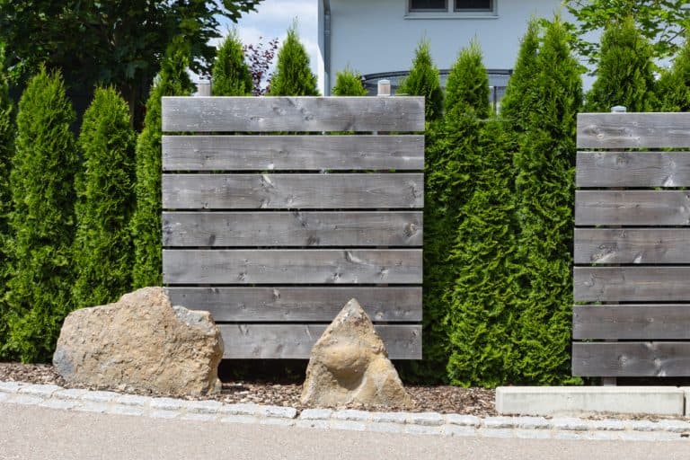 10 Privacy Fence Ideas for Your Yard - Trendey