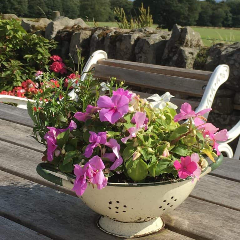 19 Creative Planter Ideas for Container Gardens - Indoor & Outdoor