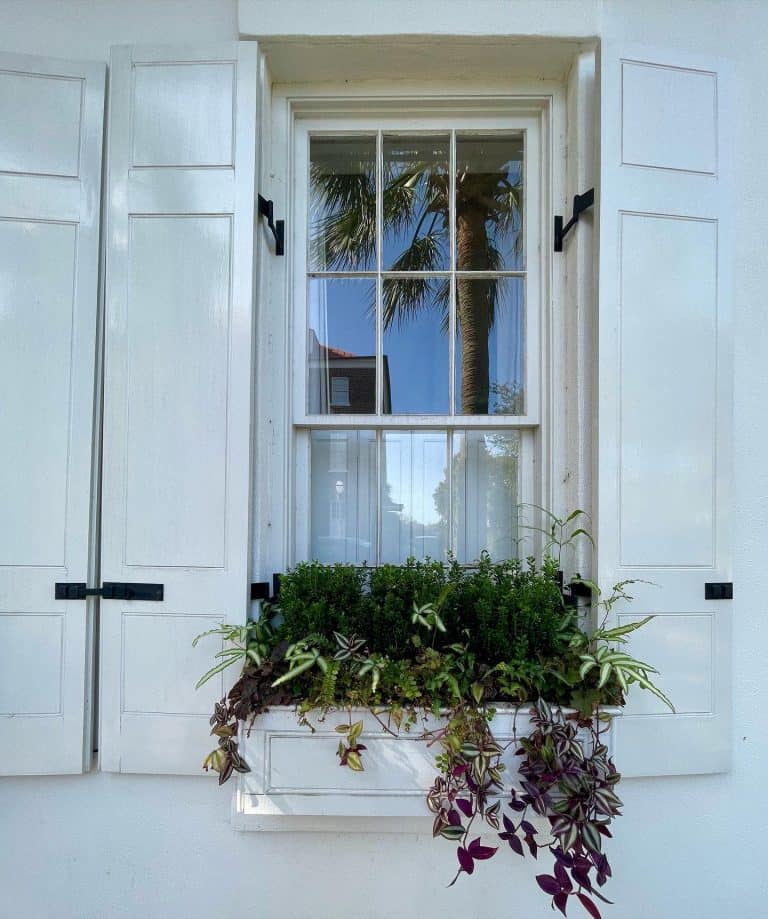 19 Window Box Ideas to Brighten Up Your Exterior - Trendey