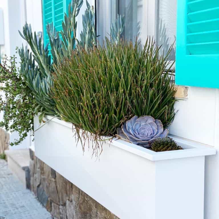 19 Window Box Ideas to Brighten Up Your Exterior - Trendey