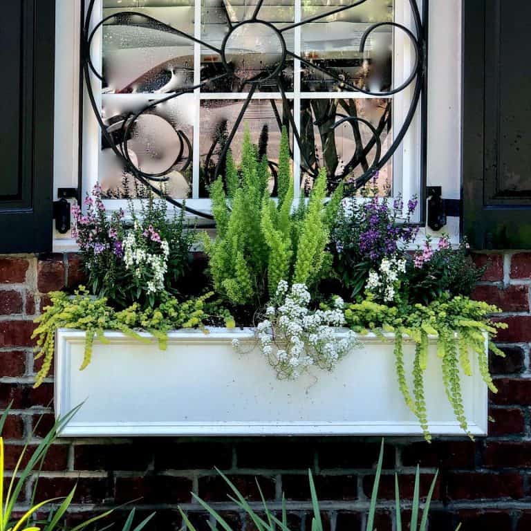 19 Window Box Ideas to Brighten Up Your Exterior - Trendey