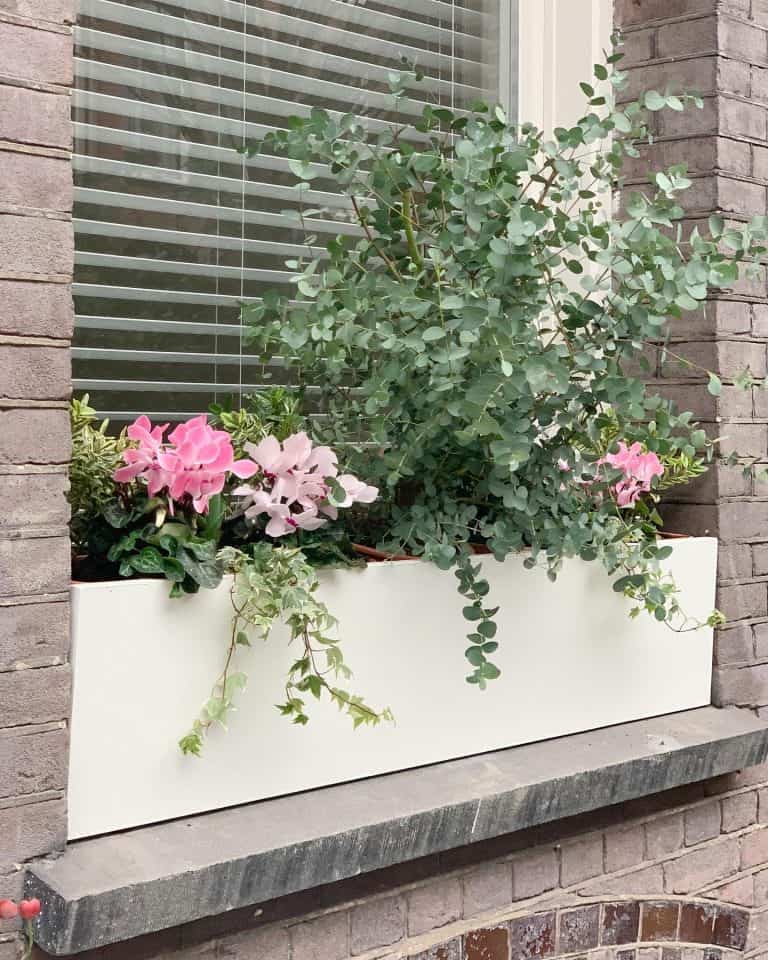 19 Window Box Ideas to Brighten Up Your Exterior - Trendey