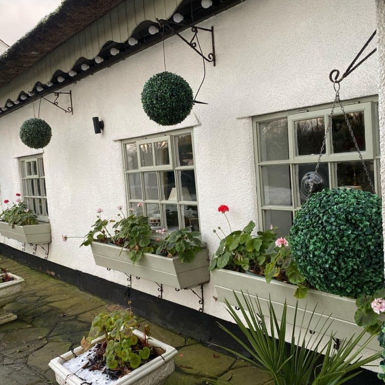 19 Window Box Ideas to Brighten Up Your Exterior - Trendey