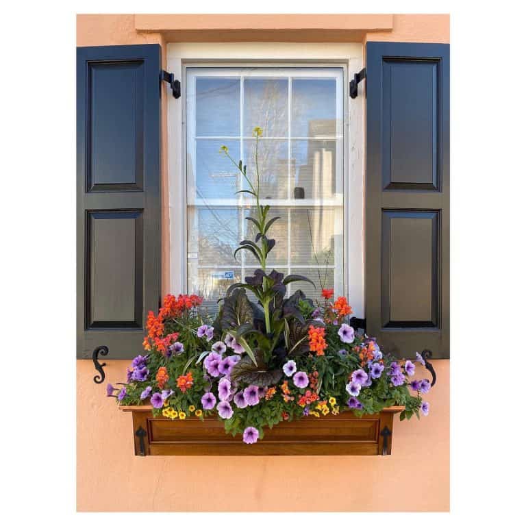 19 Window Box Ideas to Brighten Up Your Exterior - Trendey