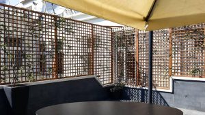 13 Trellis Ideas and Plant Structures for Your Garden