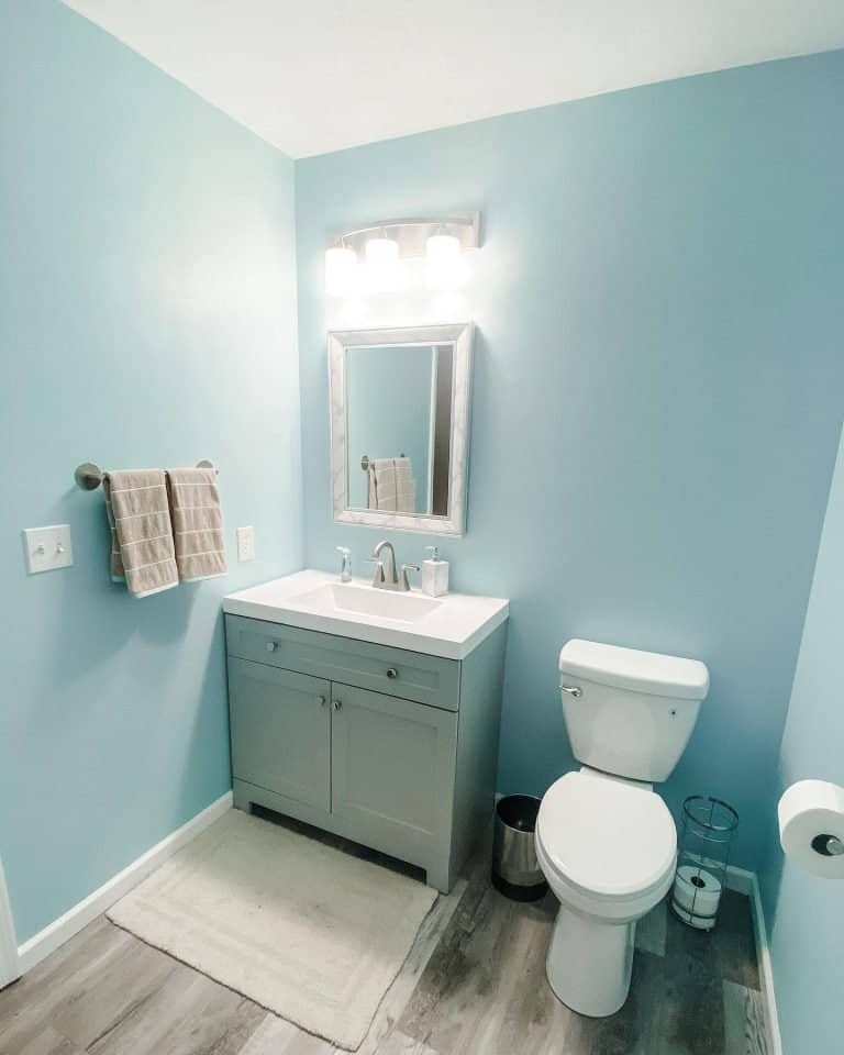 Blue Bathroom Ideas and Designs to Inspire Your Makeover