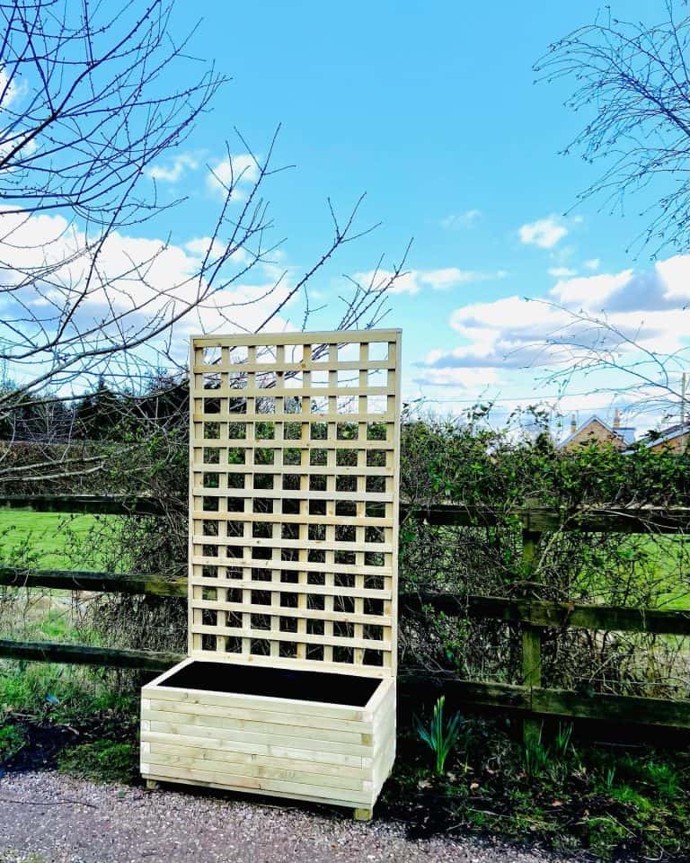 13 Trellis Ideas and Plant Structures for Your Garden