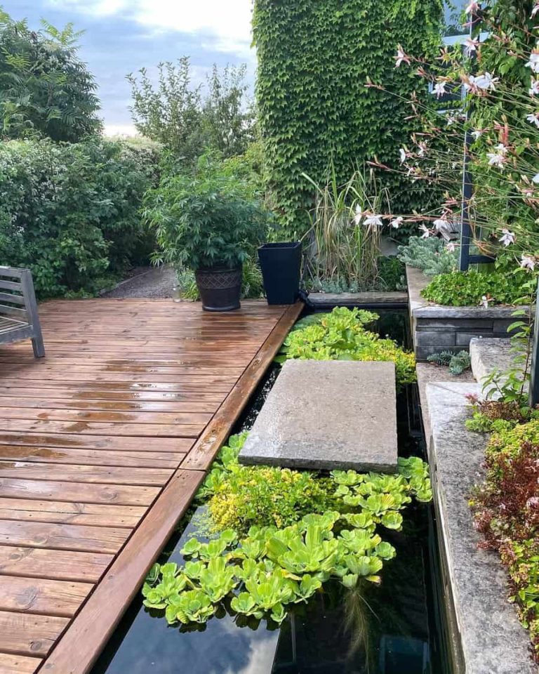 10 Small Backyard Ideas and Designs to Make a Big Impact