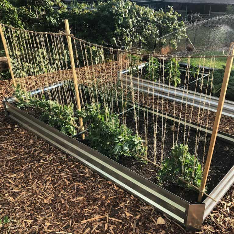 13 Trellis Ideas and Plant Structures for Your Garden