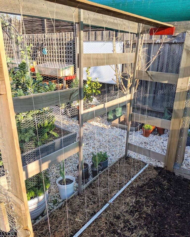 13 Trellis Ideas and Plant Structures for Your Garden