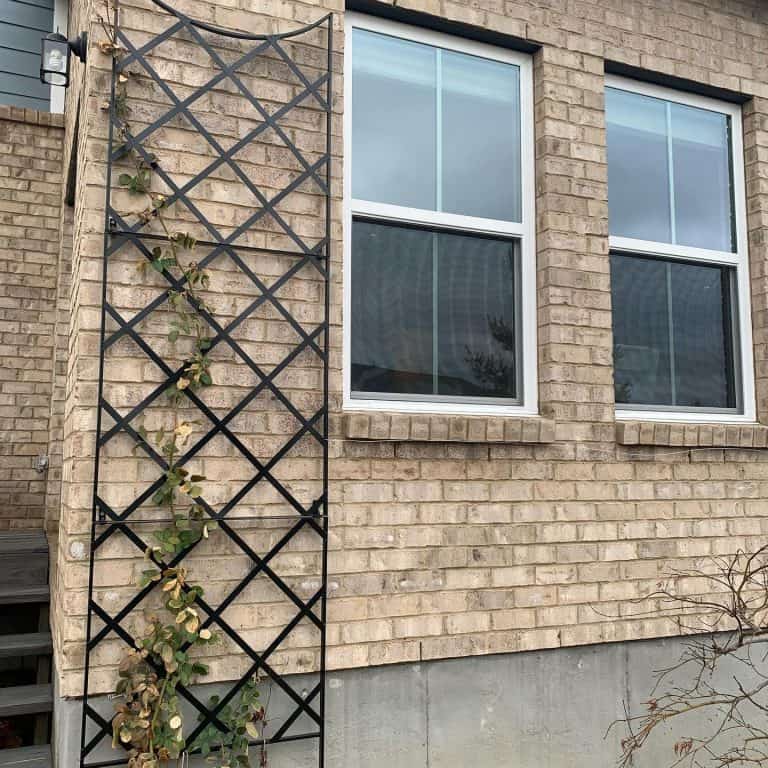 13 Trellis Ideas and Plant Structures for Your Garden