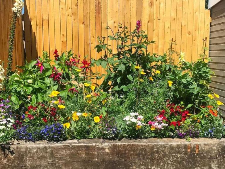 29 Inspiring Flower Bed Ideas to Transform Your Garden