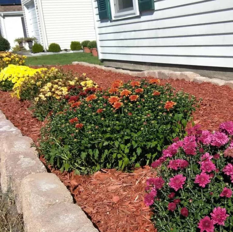 29 Inspiring Flower Bed Ideas to Transform Your Garden