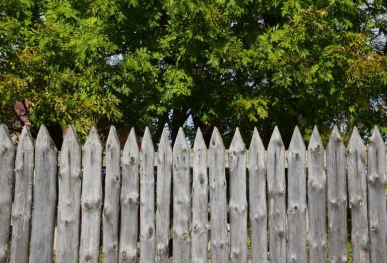 9 Unique Wood Fence Ideas for a Standout Exterior