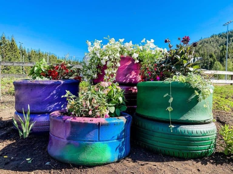 72 Inspiring Flower Bed Ideas to Transform Your Garden